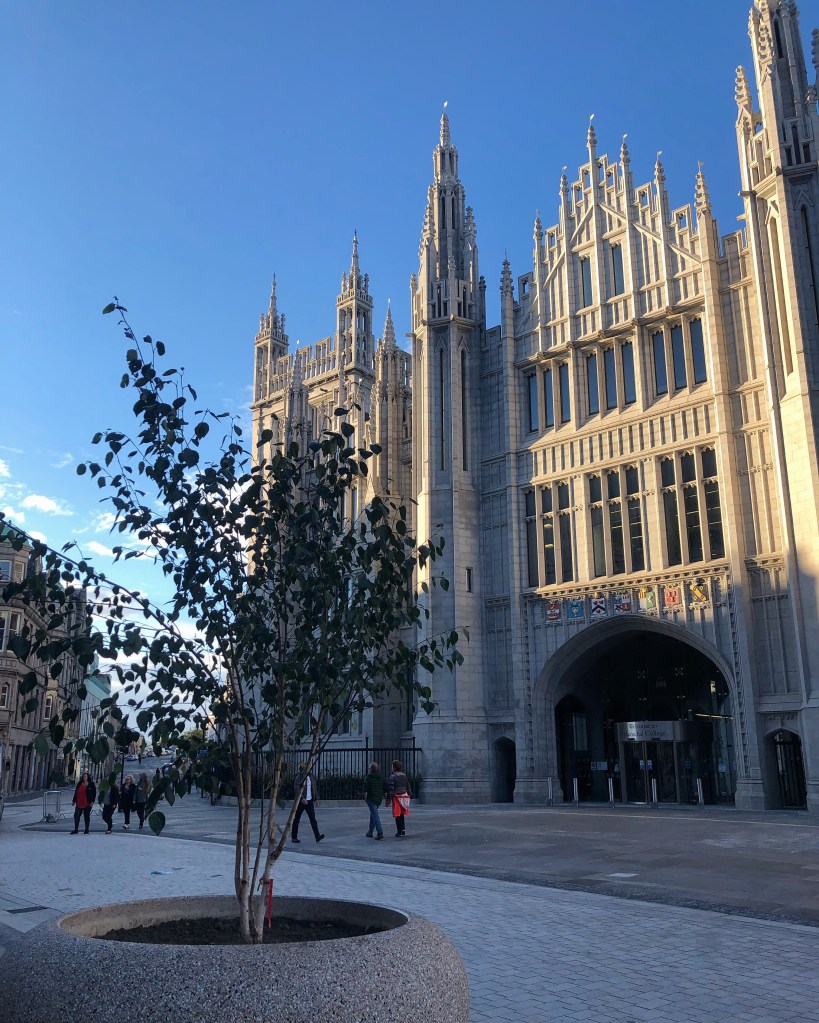 GIN:NE 2019 – In A Kingdom By The Sea
